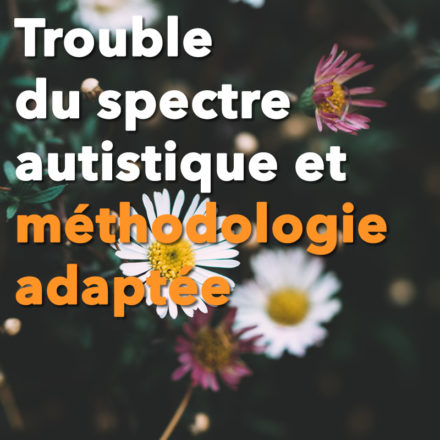 Trouble du spectre autistique et méthodologie adaptée – Morgane Demey